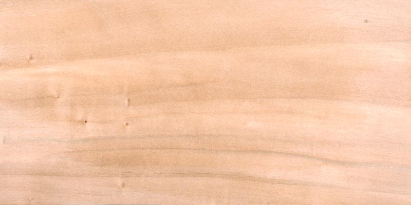 essenza-pioppo - Saim Serramenti - Firenze